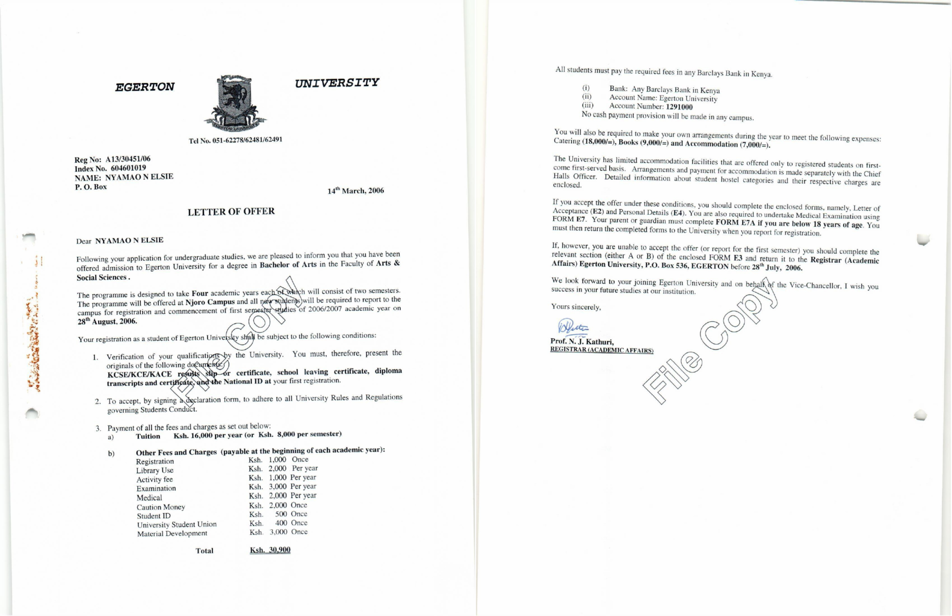Elsie Nyamao: Principal hid my admission letter, took away my destiny ...