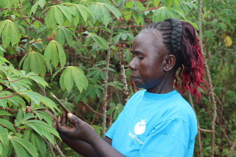 AI in Agriculture: How Kenyan farmers benefit from PlantVillage Nuru ...